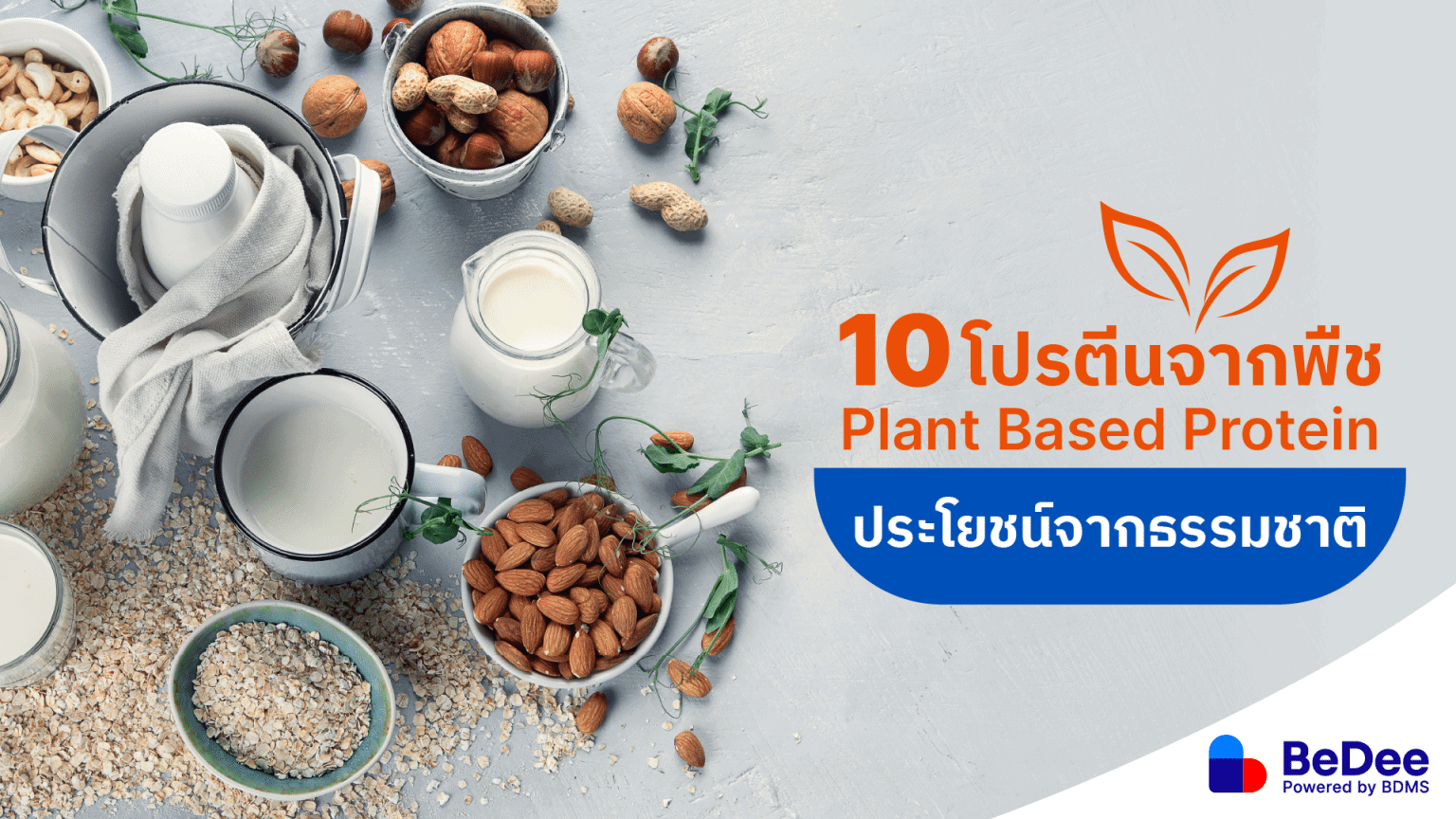 10 โปรตีนจากพืช (Plant Based Protein) ประโยชน์จากธรรมชาติ - BeDee
