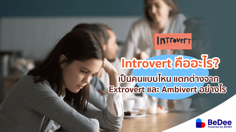 Introvert คืออะไร เป็นคนแบบไหน ต่างกับ Extrovert, Ambivert ยังไง? - BeDee