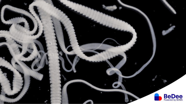 พยาธิตัวตืดหมูและวัว (Tapeworm) สาเหตุการเกิดโรคและอาการ - BeDee